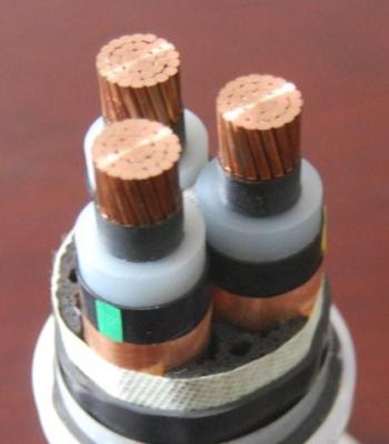 中国 XLPE はポリ塩化ビニールによっておおわれたケーブル、低い煙および発煙ケーブルの習慣を絶縁しました 販売のため