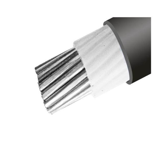 Quality Low Loss XLPE Insulated Power Cable Energy Saving Solution with Yjy Yjv Wdz-Yjy Wdz-Yjv in 1.1*1.1*0.98m Size for sale