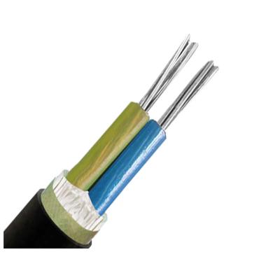 China High Capacity XLPE Insulated Power Cable for Large Scale Installations for sale