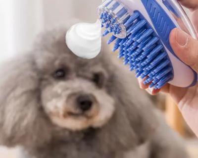 Cina Strumento di plastica della spazzola di lavaggio del cane della spazzola del lavaggio dell'animale domestico di 11*7.5*6CM in vendita