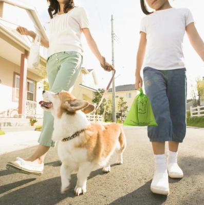 Cina Borsa di immondizia concimabile biodegradabile amichevole su misura dell'animale domestico di Eco della borsa della poppa del cane in vendita