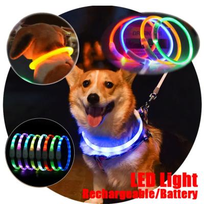 Cina Collare infiammante variopinto di cuoio di formazione del cucciolo dei collari di cane LED in vendita