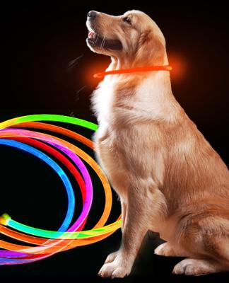 Cina I collari di cane di cuoio principali ricaricabili accendono il collare di cane infiammante in vendita
