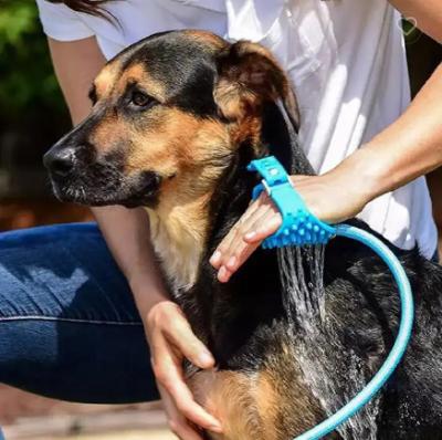 Cina Doccia tenuta in mano dell'animale domestico dell'OEM del cane della doccia della testa sostenibile dello spruzzatore in vendita