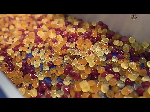 Семена моринги - мульти-ботанические жвачки с витаминами и минералами