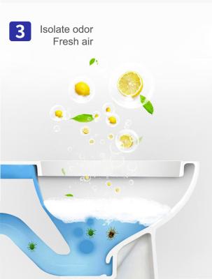 Cina Pulitore di schiumatura rapido 450ml della toilette di forte efficace pulizia profonda in vendita