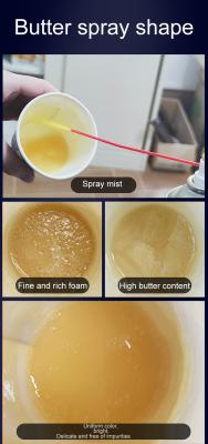 Cina Il pulitore liquido della ruggine dell'automobile dell'aerosol spruzza lo spruzzo automobilistico del dissolvente di ruggine in vendita