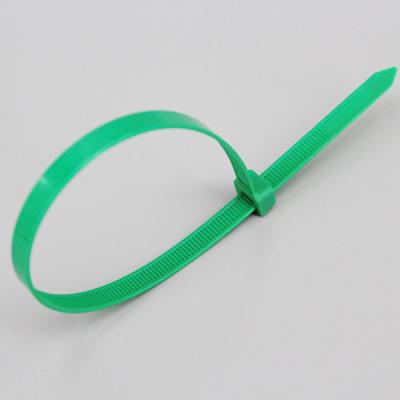 China DEMOELE 3*60mm white black red yellow single loop self-locking plastic wire cable ties strap for sale