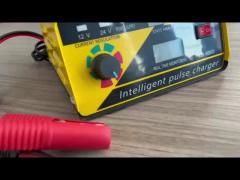 HAS-L-618D Motor Battery Charger Led Display Yellow Color Lithium Battery Charger Smart Battery Maintainer