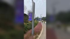 8000 Nits Outdoor LED Screen IP65 Waterproof Pole advertising LED display billboard