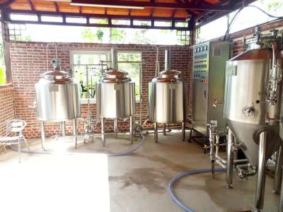 China Beer brewing tank high quality beer brewery equipment 300l 500l 800l 1000l for sale