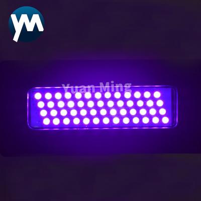 China 60x18mm 150W High Power UV LED Lamp for 365nm 395nm Water Cooling for sale