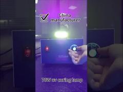 70 Watt UV-Härtelampe 365 nm Flachbett 395 nm UV-Härtelampe für Offsetdruckmaschine