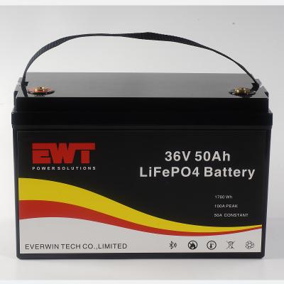 China 1760Wh Output Power Deep Cycle Lifepo4 36v 50ah Lithium Ion Battery Pack For Electric Bicycle for sale