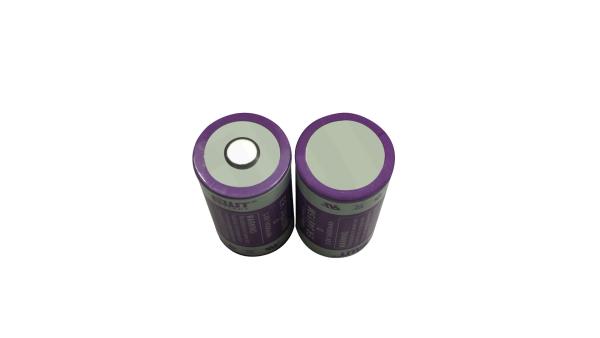 Quality High-Capacity ER34615M 3.6V 14500mAh Lithium Battery for Smart Meters, IoT for sale