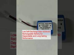 Bas taux d'auto-décharge 4200 mAh Lisocl2 batterie au lithium pour des performances fiables et durables