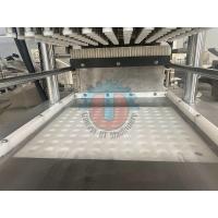 China Professional Sugar Cube Pressing Machine for Seasoning Processing Made from Sugar for sale