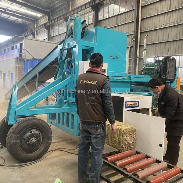 Quality Wood Sawdust Hay Baler Bagging Machine Equipment with 80-120 Bales Capacity and for sale