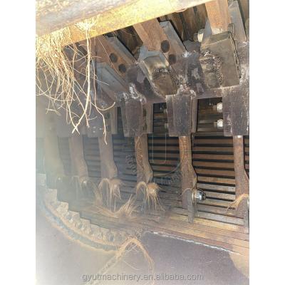 Cina La prima macchina di estrazione di fibra di cocco completamente automatica La soluzione definitiva in vendita