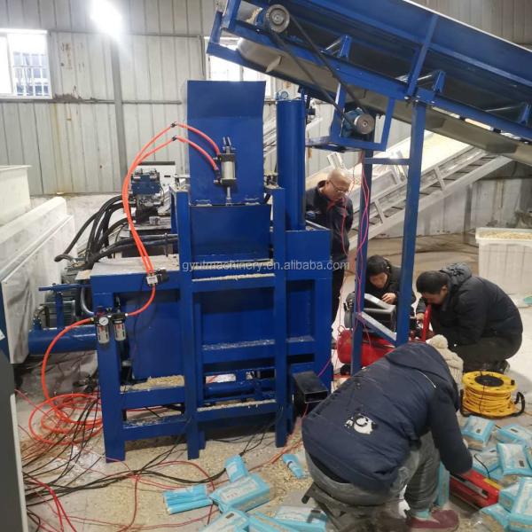 Quality Automatic Wood Shaving Sawdust Baler for Pet Bedding Multi-function Packing for sale