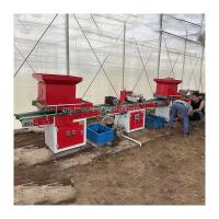 China accuracy 10 Rows Vegetable Seeder for Seedling Tray Sowing Machines for sale