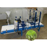 China accuracy 10 Rows Vegetable Seeder for Seedling Tray Sowing Machines for sale
