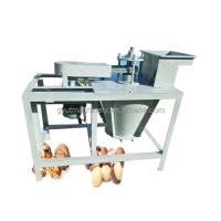 China 230 KG Automatic Pecan Kernel Peeling Machine Hard Shell Cracker for Walnut Shelling for sale