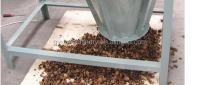 China 230 KG Automatic Pecan Kernel Peeling Machine Hard Shell Cracker for Walnut Shelling for sale