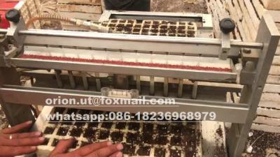China Máquina de siembra de semillas para bandeja de micro-verdes Función de cultivo de semillas de semillas de vegetales en venta