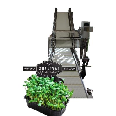 Cina Comodo multifunzione automatizzato Microgreens vassoio di raccolta macchina con nastro trasportatore in vendita