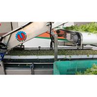 China Convenient Multi Function Automated Microgreens Tray Harvesting Machine with Conveyor Belt for sale