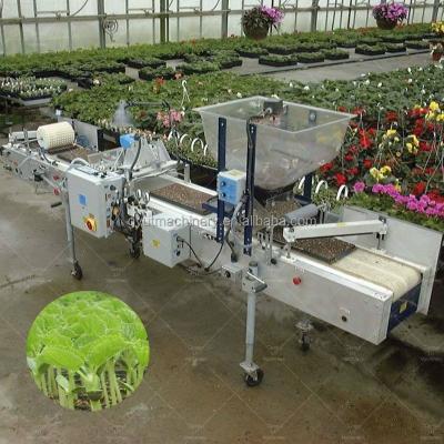 China 11 Row Microgreen Tray Seeding Machine with Conveyor Belt and Top Coater in Australia for sale