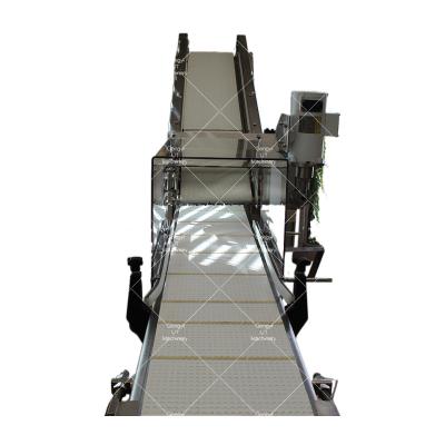 China CE Certificate Customised Automated Microgreen Tray Seeding Machine with Conveyor Belt for sale