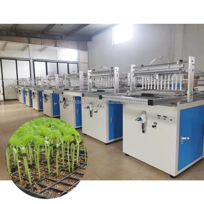 China Potato Farm Suitable Hydroponic Seed Trays Planting Machine 300 Trays Per Hour Speed for sale