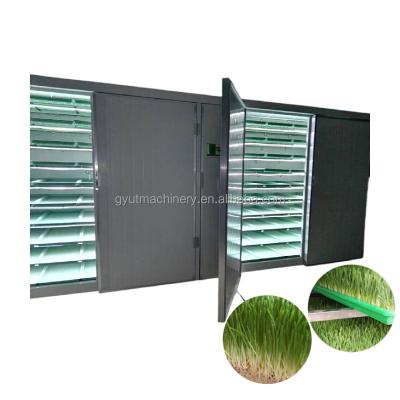 China Compact Container Type Hydroponic Barley Fodder Growing Room for Optimal Sprout Box Size for sale