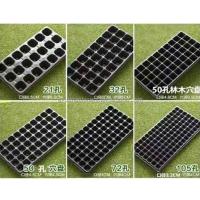 China Tomato Seeding Machine for Seed Seeding Vegetable Seeds Planting Machine for sale