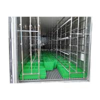 China Automatic Bean Sprouts Maker for Radish Wheatgrass Broccoli Sprouts Microgreens Sprouting for sale