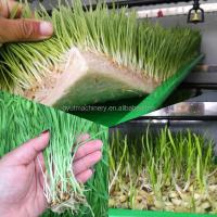 China Container Automatic Hydroponic Fodder System Sprouting Machine for Wheat Soybean for sale