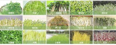 China Máquinas de colheita de engrenagens para a colheita de microgreens aquapônicos 2024 Personalização à venda
