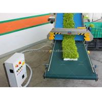 China High Capacity MOSUR MACHINE TRAY HARVESTER Cutting Width mm According Tray Width for sale