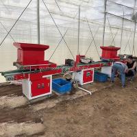 China High Capacity MOSUR MACHINE TRAY HARVESTER Cutting Width mm According Tray Width for sale