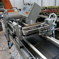 China Hydroponic Sponge Seed Planter Line for Seeding Cucumbers and Squash Automatically for sale