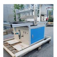 China Hydroponic Sponge Seed Planter Line for Seeding Cucumbers and Squash Automatically for sale