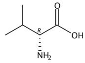 China D-Valine;Amino Acid Powder;CAS  640-68-6 for sale