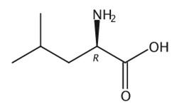 China D-leucine ;Amino Acid Powder;CAS   328-38-1 for sale