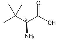 China L-Tert-Leucine;Amino Acid Powder;CAS  20859-02-3 for sale