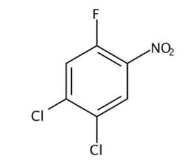 China 2-Fluoro-4,5-dichloronitrobenzene ;Benzene Ring Compounds ;CAS  2339-78-8 for sale