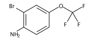China 2-Bromo-4-(trifluoromethoxy)benzenamine ;Benzene Ring Compounds ;CAS   175278-17-8 for sale