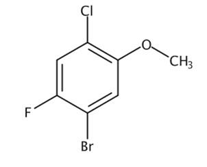 China 5-Bromo-2-chloro-4-fluoroanisole ;Benzene Ring Compounds ;CAS   146447-18-9 for sale