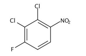 China 2,3-Dichloro-1-fluoro-4-nitrobenzene ;Benzene Ring Compounds;CAS    36556-51-1 for sale